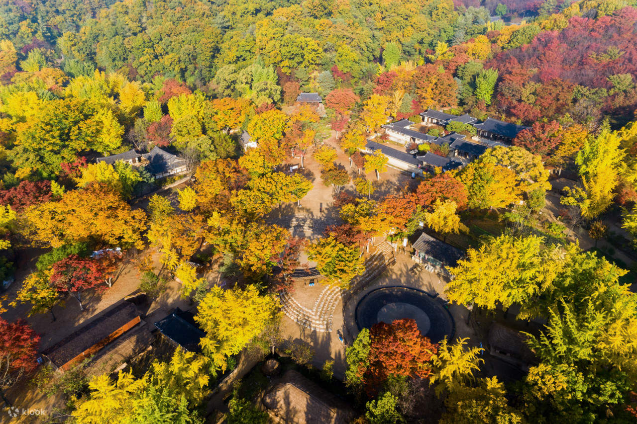 Arboretum Irwol&Ludensia&Korean Folk Village&Starfield Library Tour - Klook