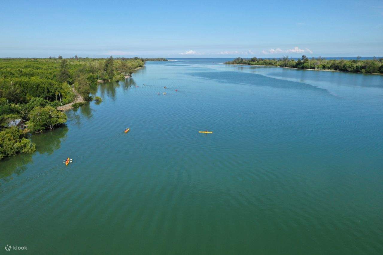 Mangrove Kayaking Serusup Tuaran Sunset and Sunrise Tour Kayaking Tour ...