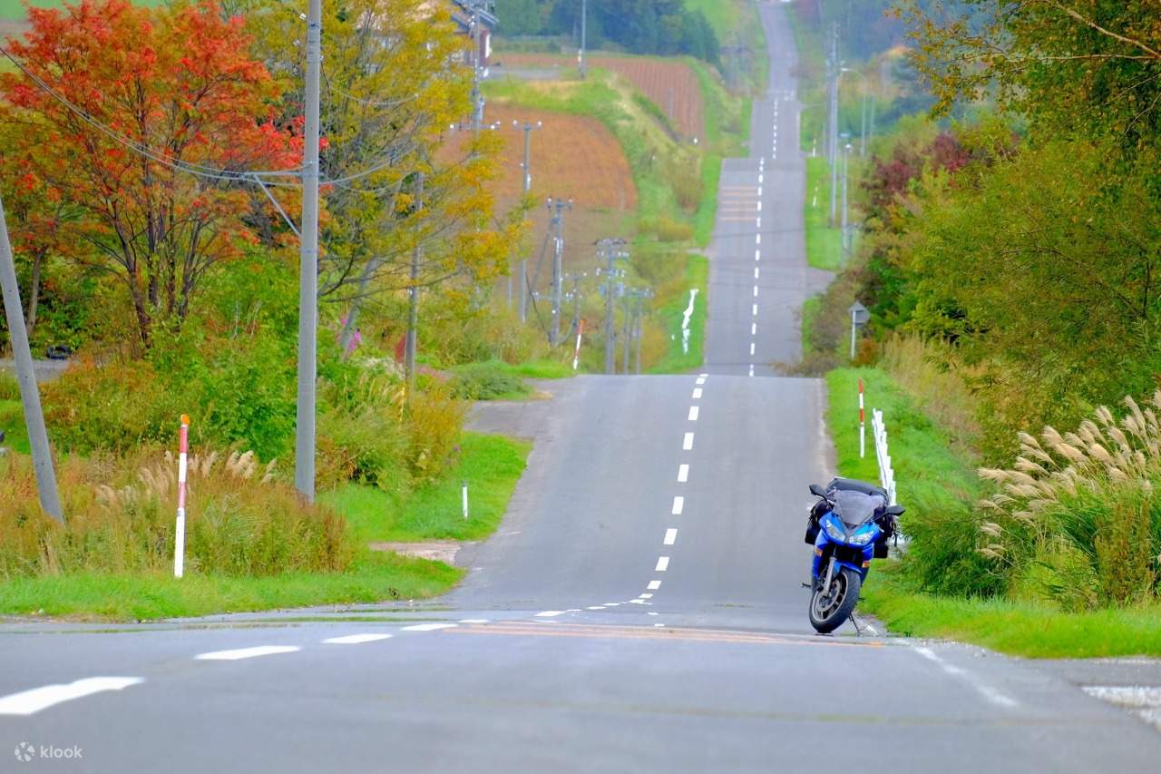 One-day Harley-Davidson motorcycle tour in Hokkaido (local Japanese ...