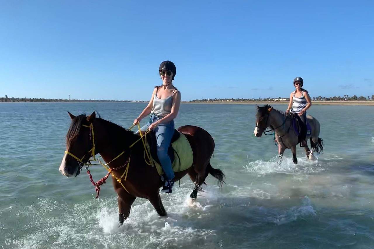 Experiencia de paseo a caballo en la laguna de Djerba - Klook Estados ...