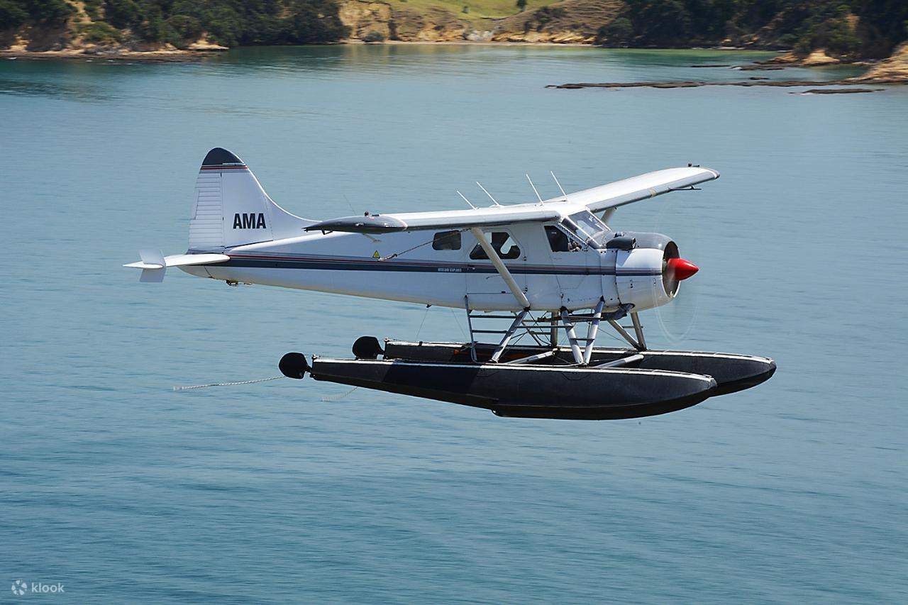 Auckland Seaplane Flight Experience - Klook Estados Unidos