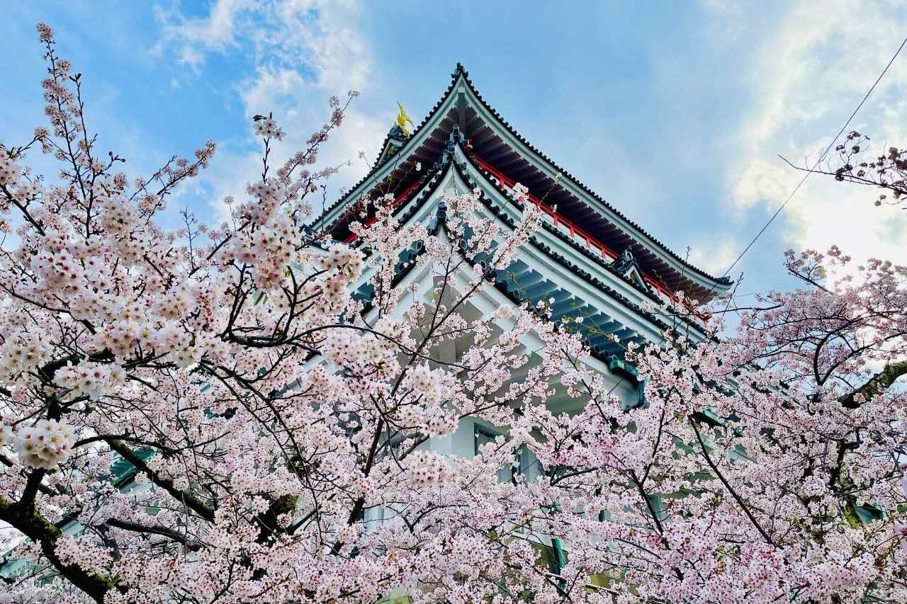 MOA Museum, Atami Sun Beach, and Atami Castle Day Tour (Depart from ...