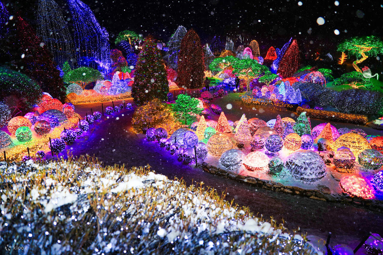 Seoul Car Rental with Driver to Hwacheon Sancheoneo Festival Ice ...