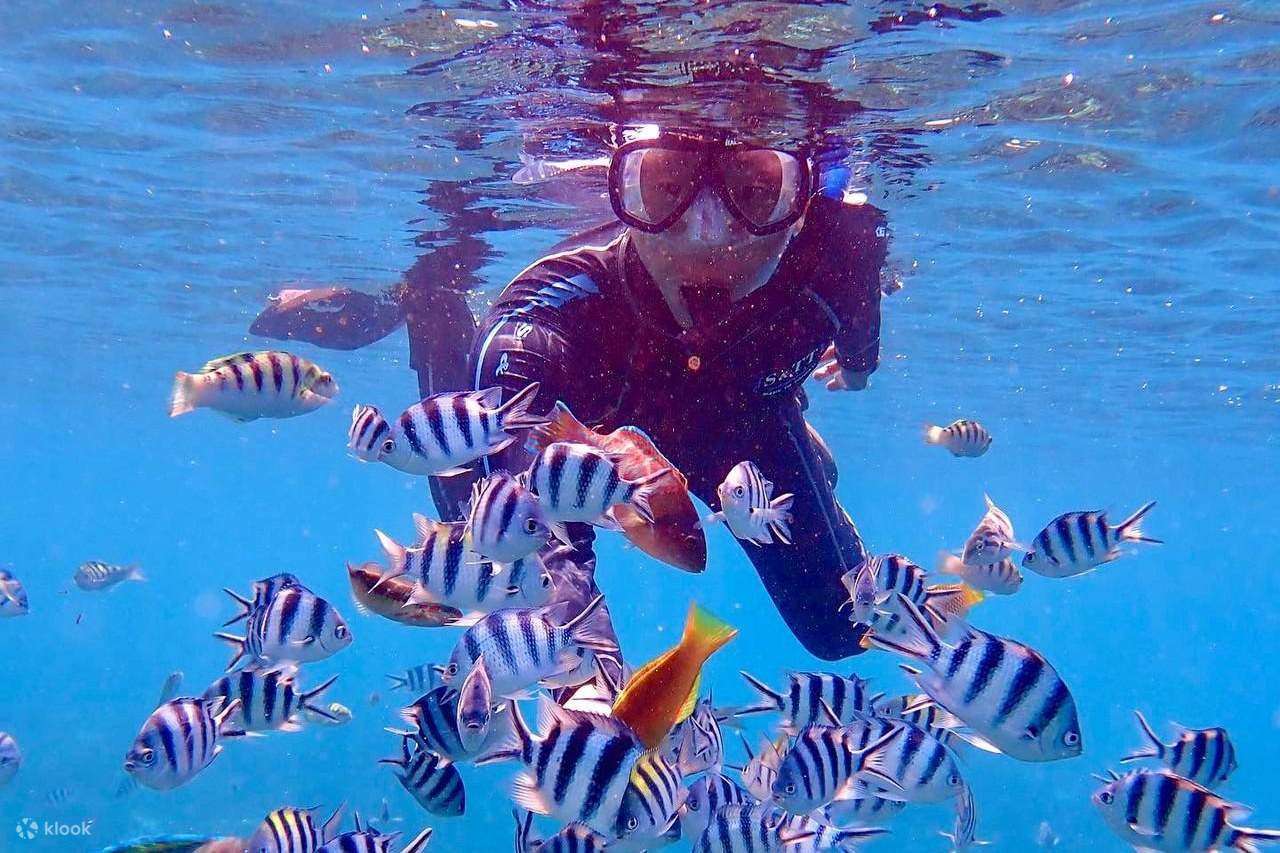 Pingtung: Kenting Wanlitong Beach Water Entertainment Trip - Diving ...