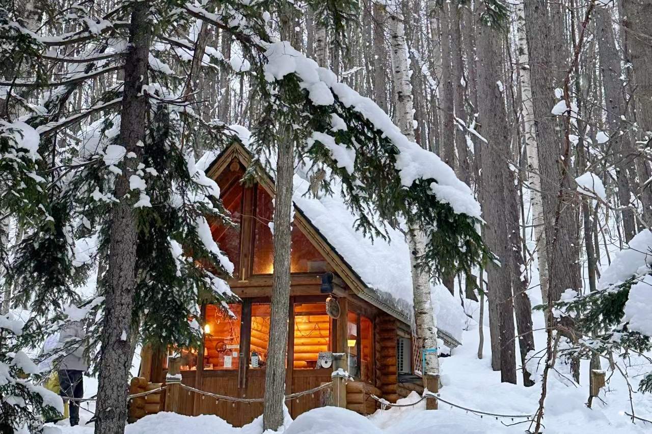 One-day tour to Shikisai-no-Oka Hill, Forest Elf Terrace, Biei ...