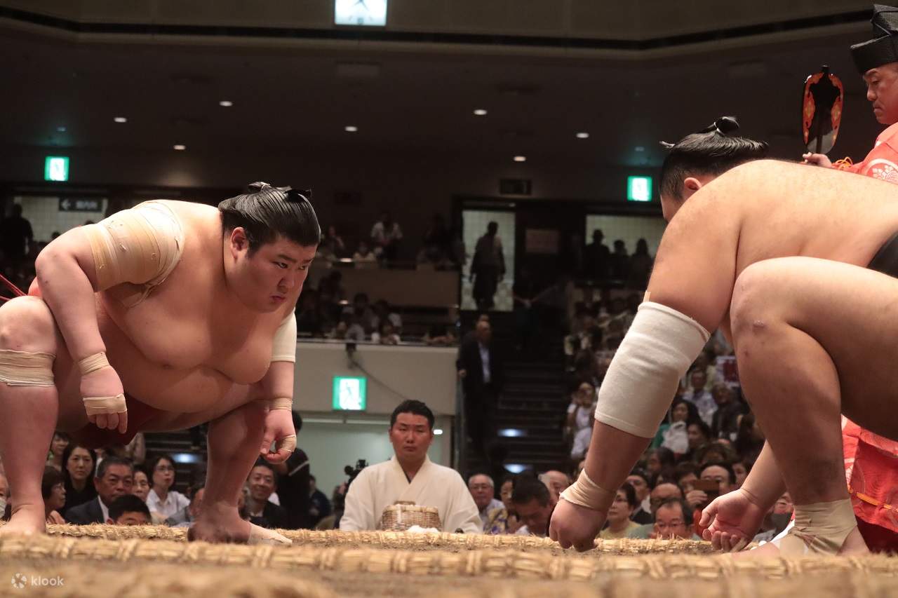 Osaka City, Osaka Grand Sumo Tournament Viewing Half Day Walking Tour ...