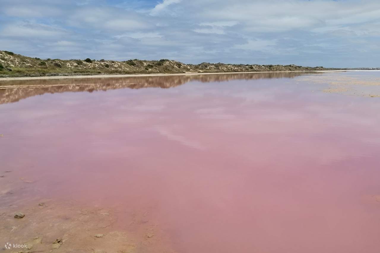 2 Day Pink Lake and Kalbarri Tour - Klook Singapore