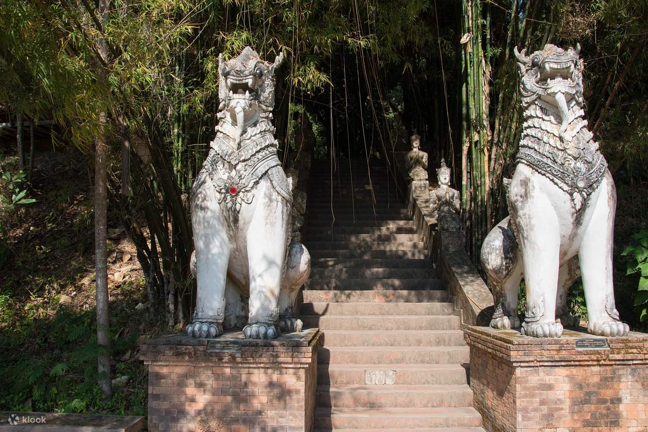 Visite de la ville de Chiang Mai avec Wat Doi Sutep et Wat Chedi Luang ...