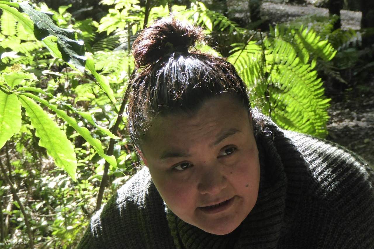 Tour introduttivo a Rongoa Rakau - Klook Stati Uniti