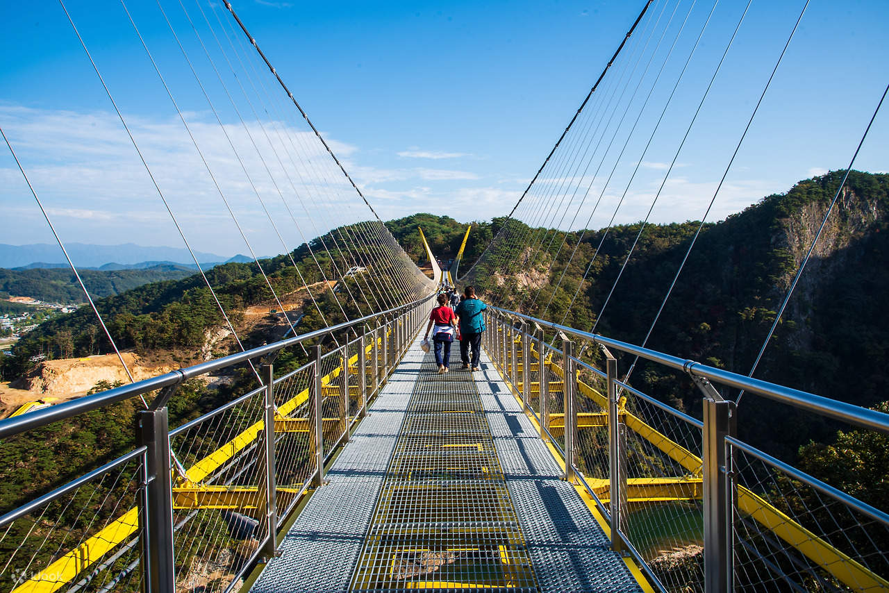 Wonju Wellness Museum San & Sogeumsan Suspension Bridge Private Tour ...