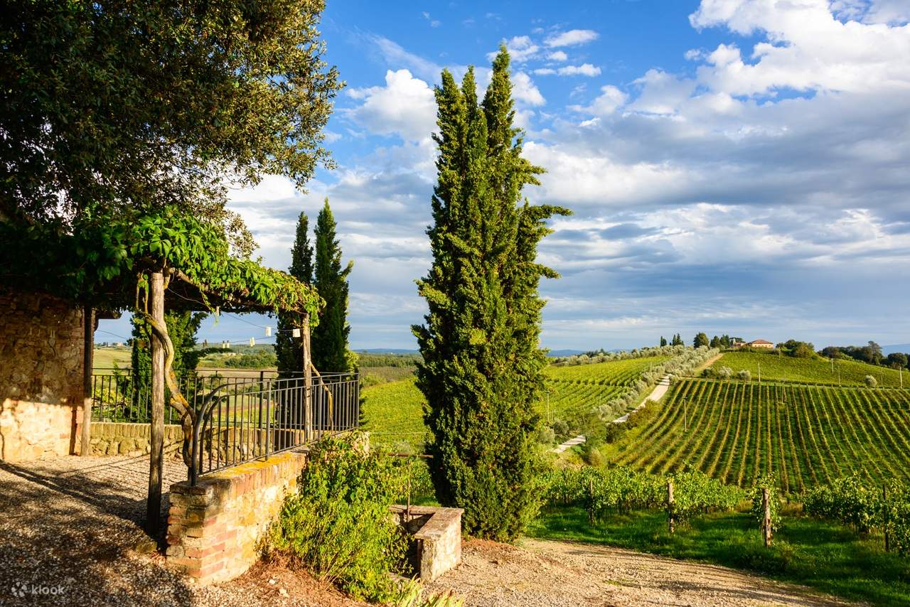 Chianti Delights: Tuscany Wine Private Tour from Florence - Klook ...