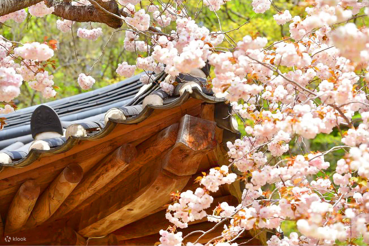Suwon Hwaseong Day Tour from Seoul: UNESCO, Hanok, Colorful Views ...