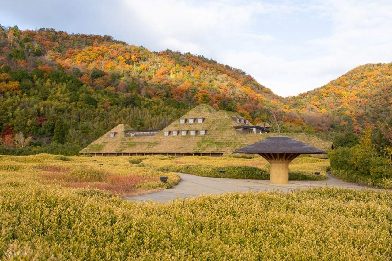 From Nagoya: Castles and Canals in Hikone and Omi Hachiman - Klook ...