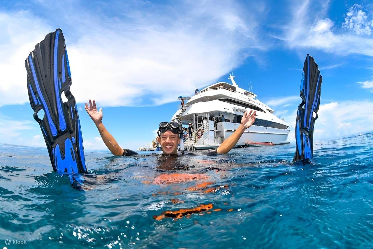Great Barrier Reef Snorkel, Dive and Helicopter Flight Full Day Tour ...