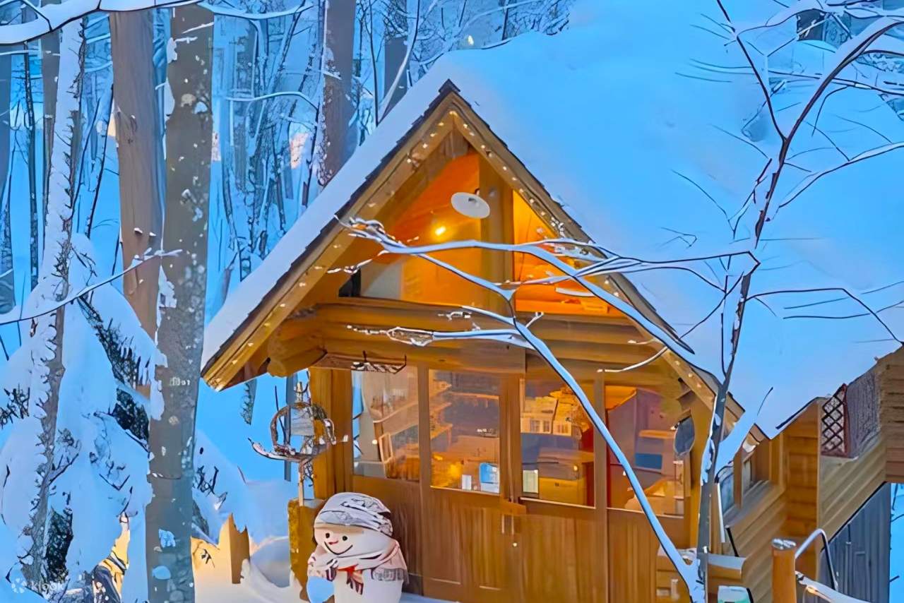 [Hokkaido Summer Popular Check-in] Patchwork Road Seven Star Tree ...