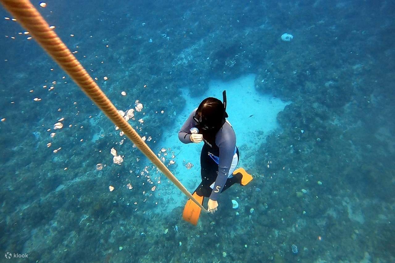 Taichung Together Diving Training Center (Douzhen Diving) SNSI・PADI ...