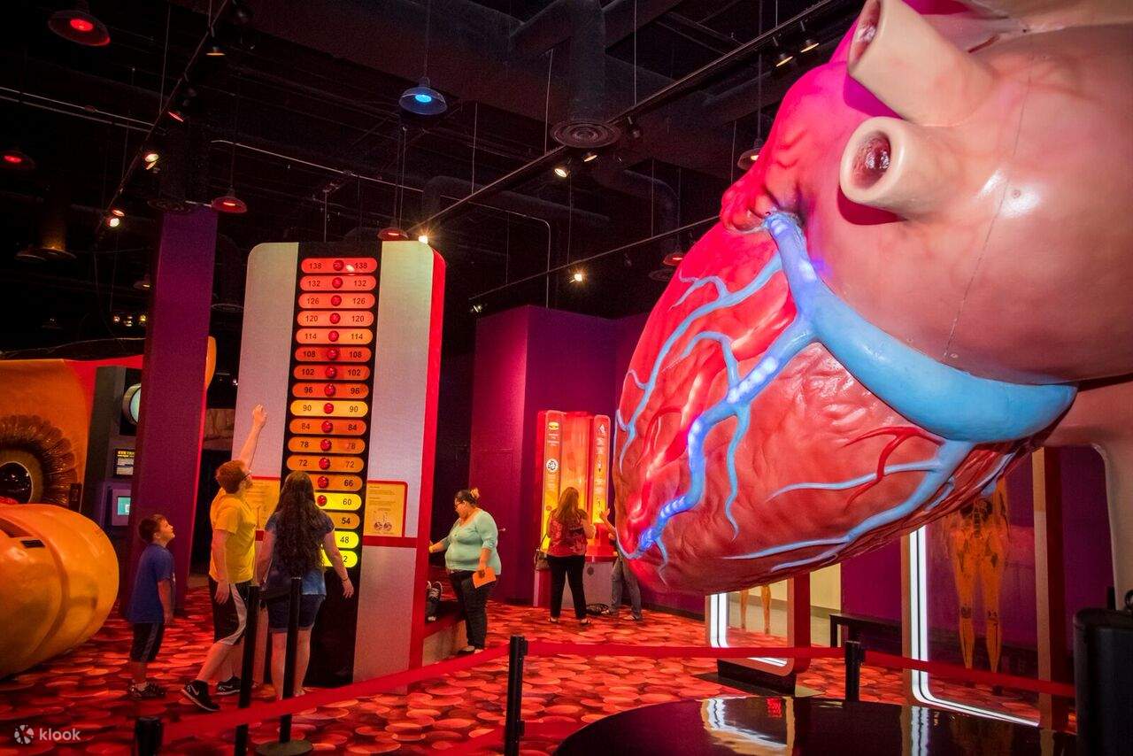 1-Day or 3-Day Houston Museum Pass - Klook