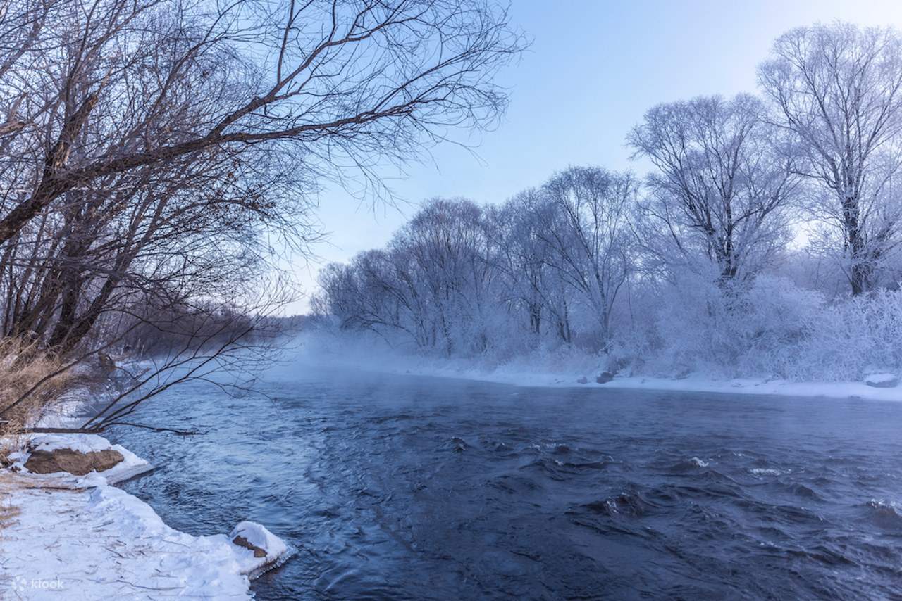 Snow Forest Wonderland Rime Drifting A Collision of Ice and Snow ...
