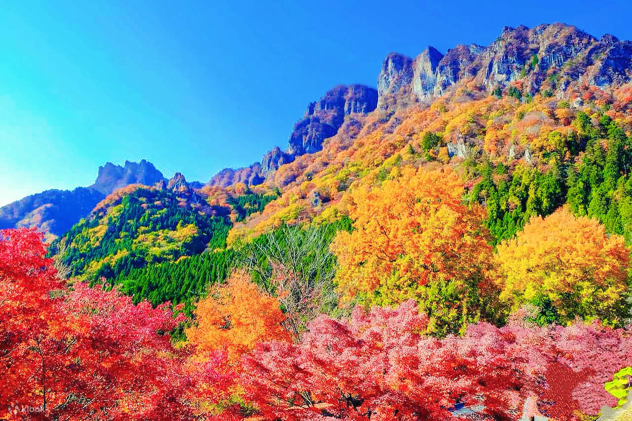 [Autumn Limited] Kyushu Beppu Fall Color Viewing Day Tour｜Kamado Shrine ...