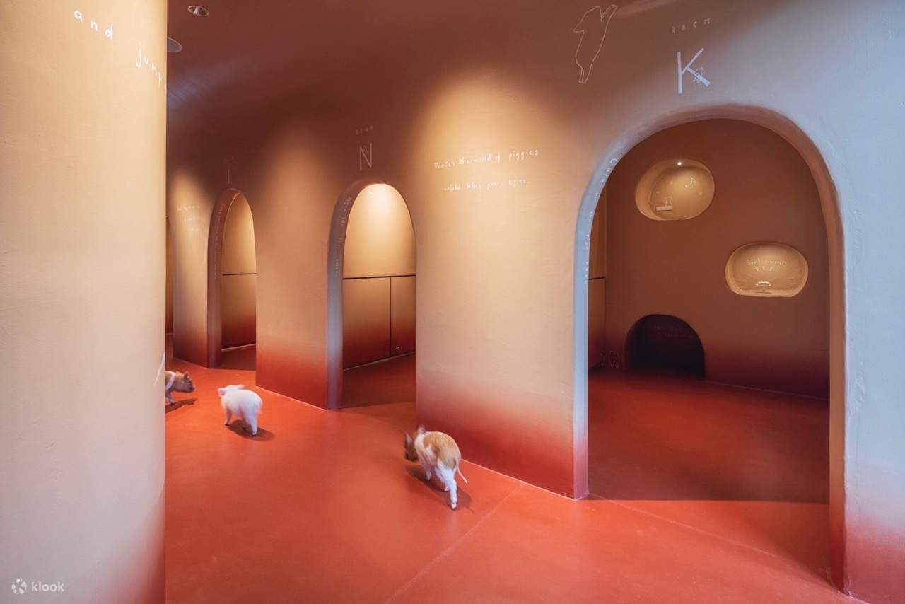 Online reservation for fully private room mini pork cafe (Tokyo ...