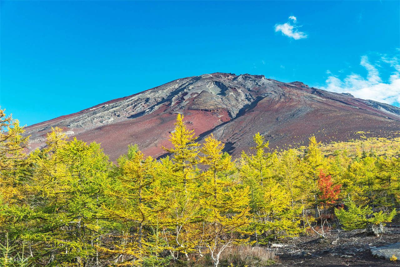 Tur sehari ke Gunung Fuji (Mulai dari Tokyo) - Klook Indonesia