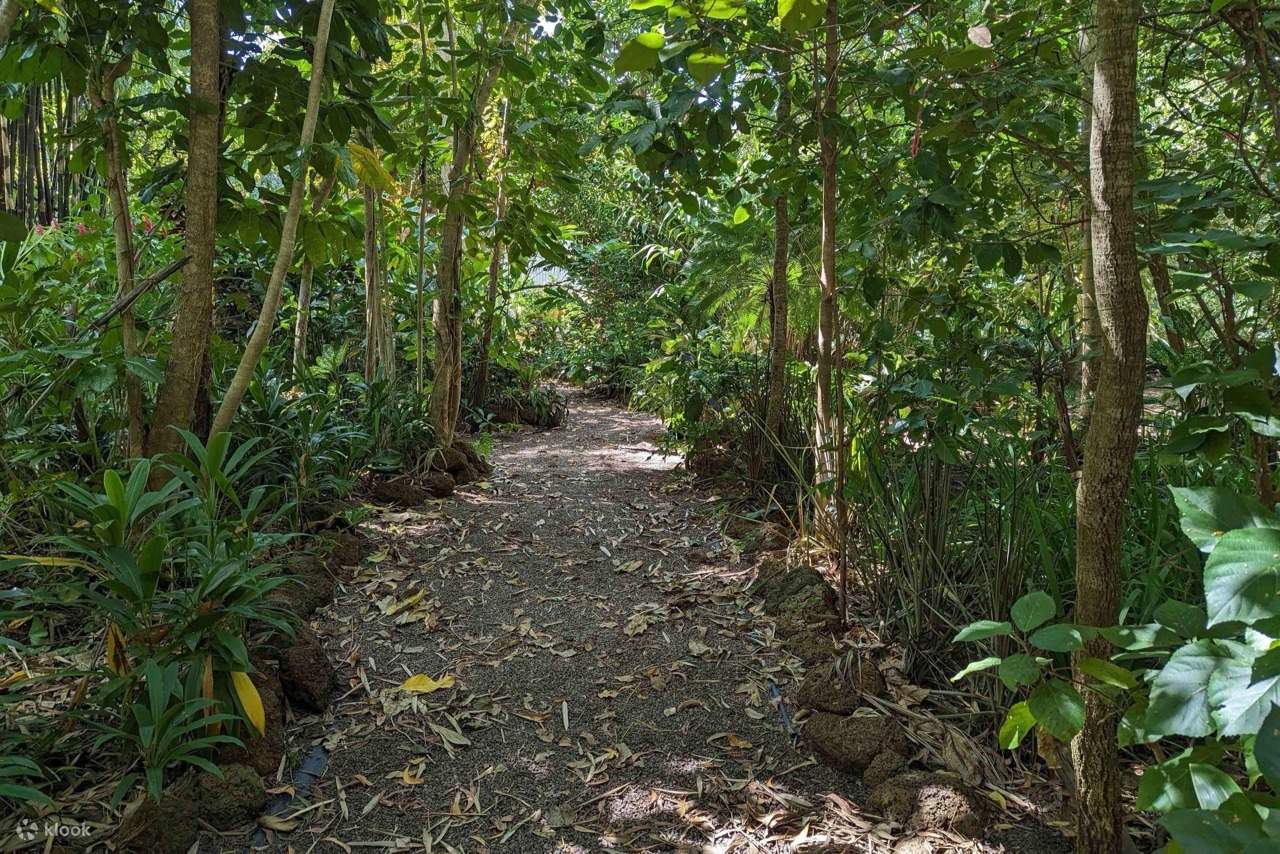 5-Hour Tropical Gardens Tour & Sightseeing - Klook