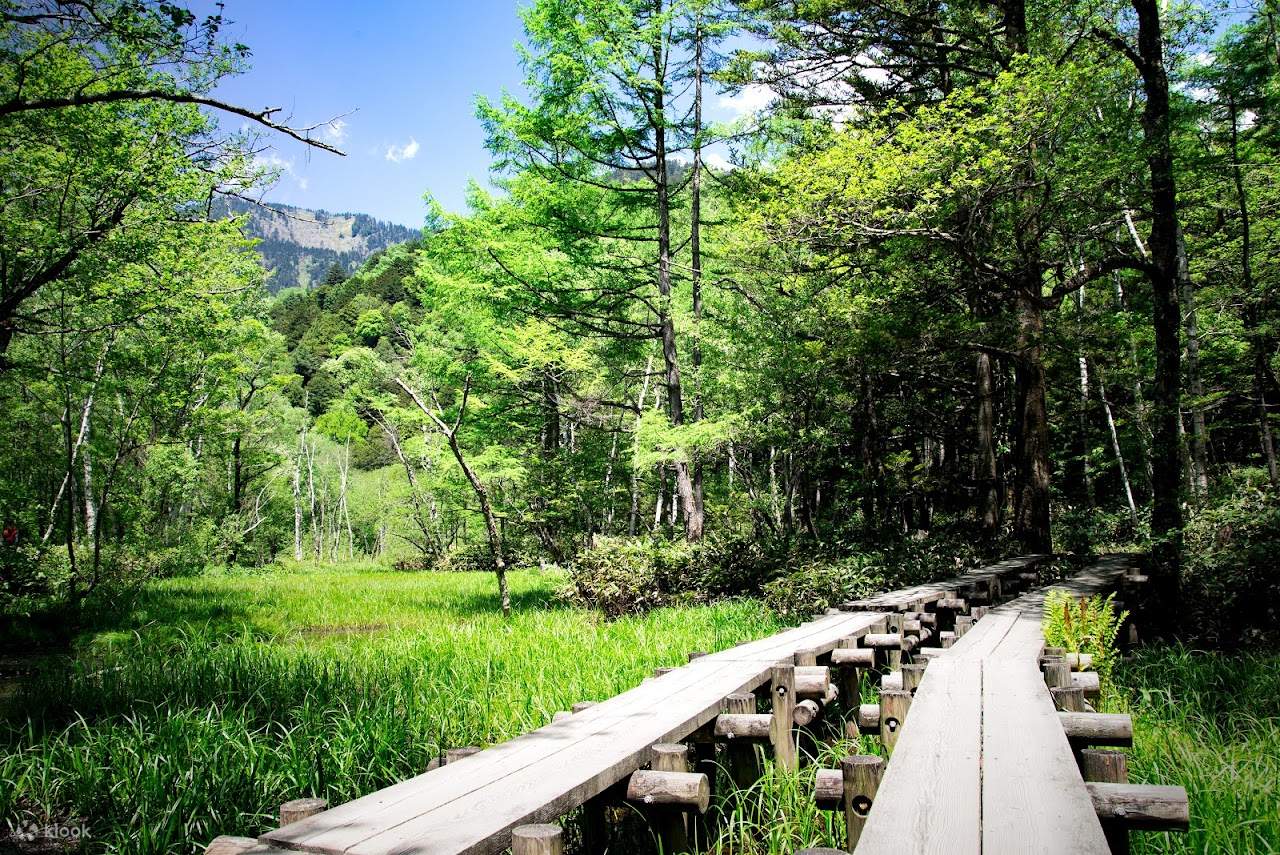 Kamikochi & Hida One Day Trip With Lunch - Klook United States