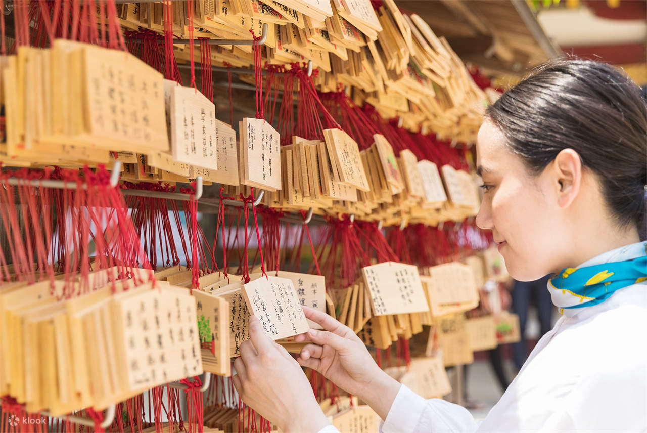 Yufuin & Umi/Kamado Jigoku & Kyushu Natural Animal Park & Dazaifu Tenmangu Shrine & Beppu ...