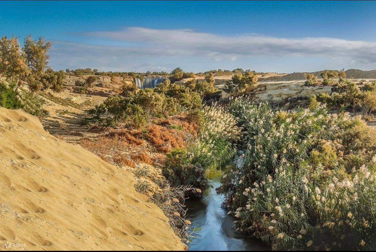 Fayoum Oasis Full day tour - Klook Philippines