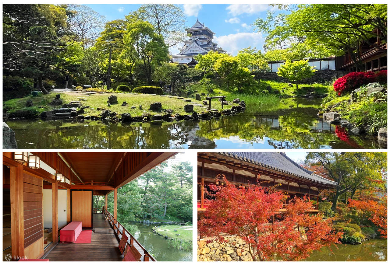 Limited-Time Flower Viewing | Northern Kyushu | A Day Trip from Fukuoka ...