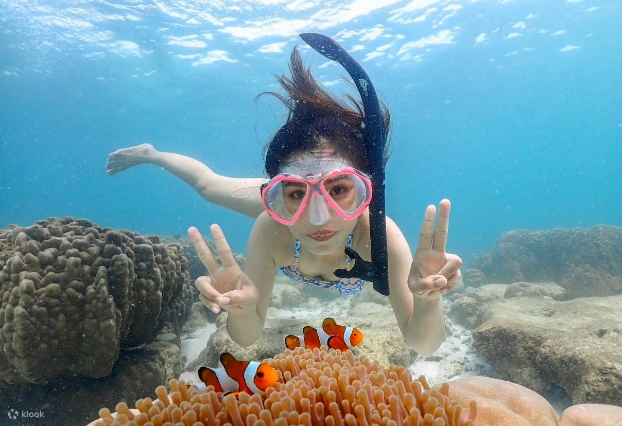 From Pattaya: Private Speedboat Nemo Island with Hotel Transfers - Klook