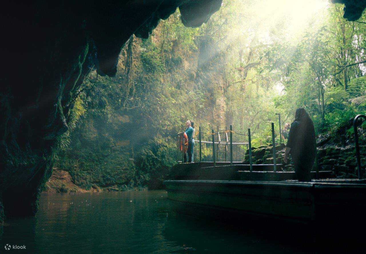 Waitomo and Rotorua Day Tour from Auckland with Te Puia - Klook