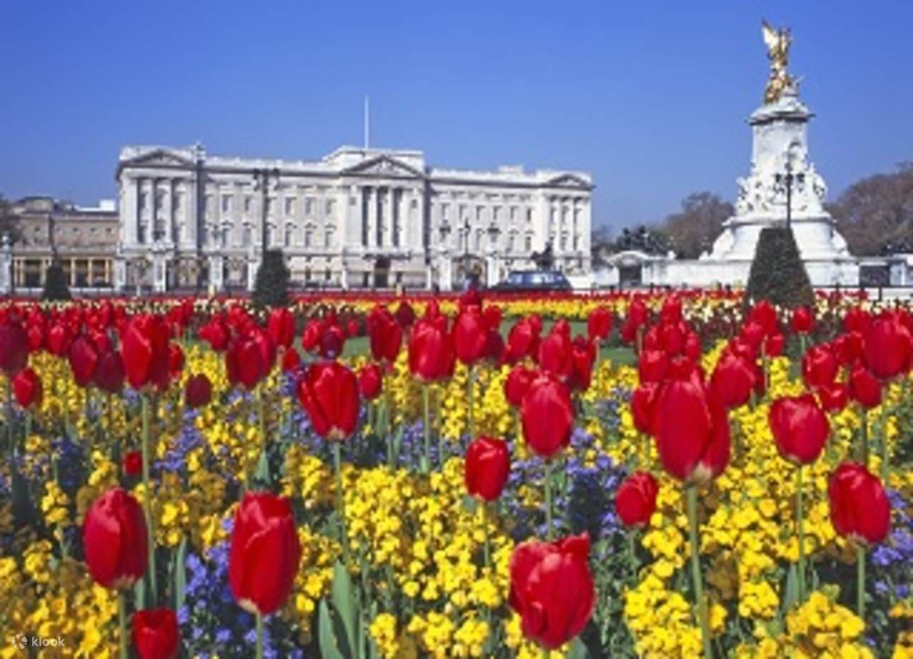 Tower of London & 30+ London Sights Walking Tour - Klook Malaysia
