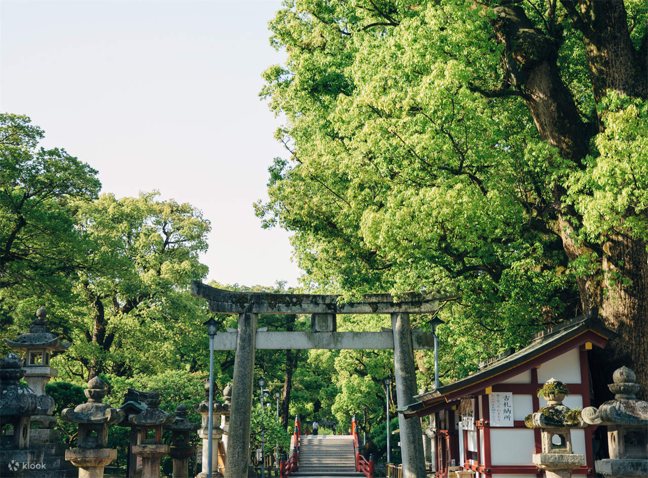 Kyushu Oita Perfect Day Trip: Dazaifu Tenmangu Shrine Pilgrimage ...
