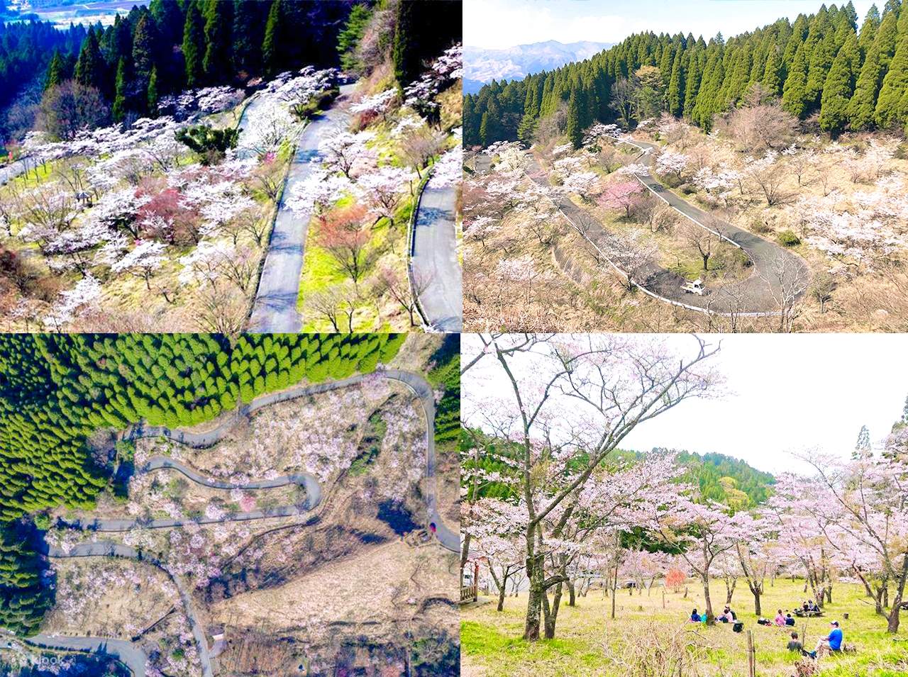 Kyushu Miyazaki Highlights Day Tour｜Takachiho Gorge + Amano Iwato ...