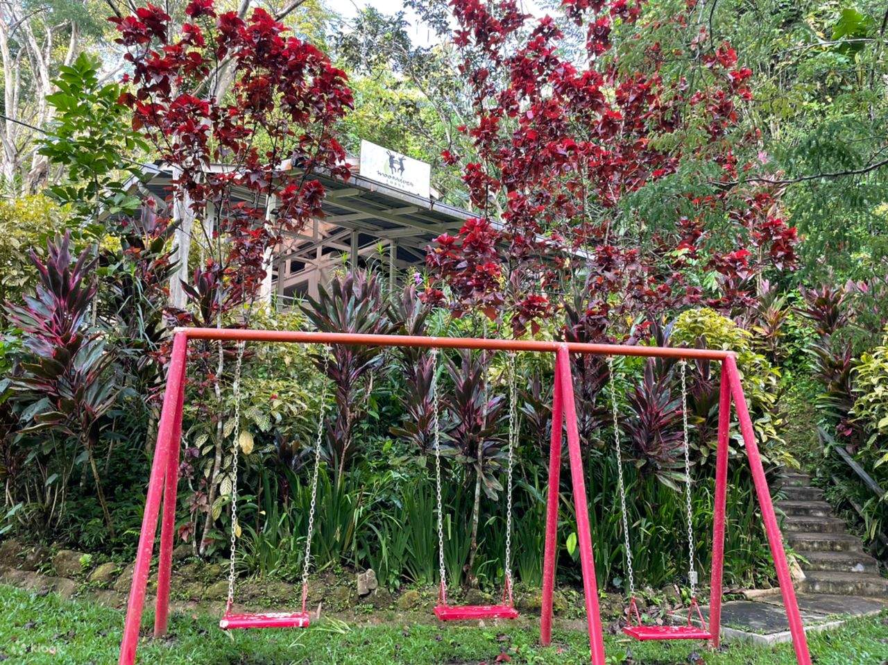 Rafflesia Half Day Trekking Trip in Cameron Highlands, Malaysia - Klook ...