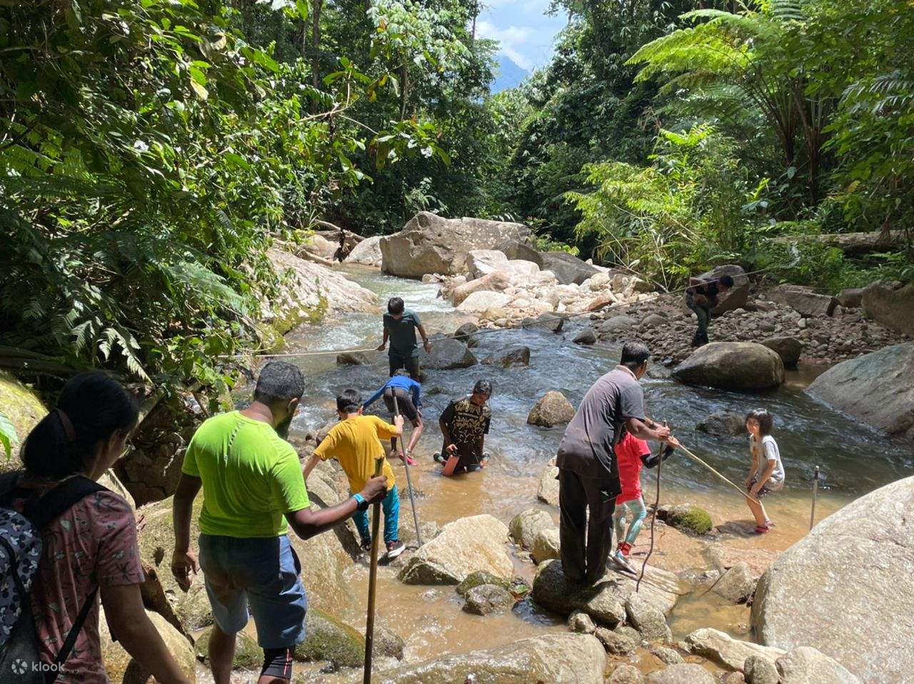 Rafflesia Half Day Trekking Trip in Cameron Highlands, Malaysia - Klook