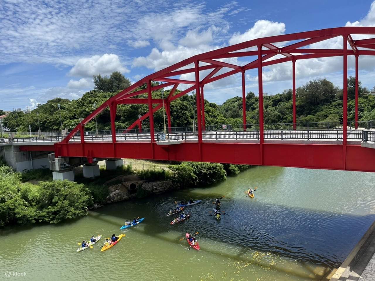 Mangrove Kayak Tour - Klook United States