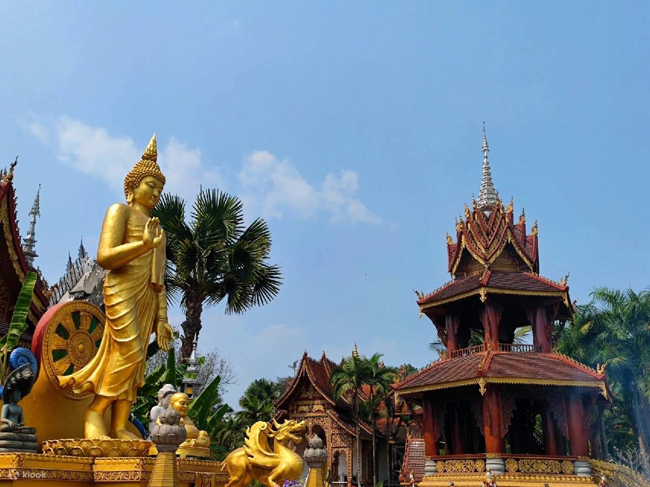 Yunnan Fun Xishuangbanna 5-Day Tour (Wild Elephant Valley + Chinese ...