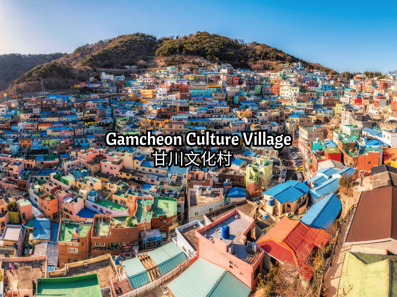 Busan & Haeundae Blueline Park One-day Guided Tour - Klook Philippines