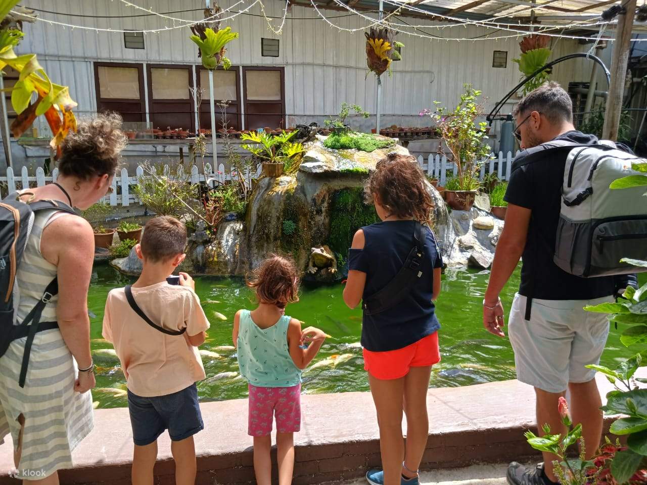 Cameron Highland Private Day Tour From Ipoh - Klook Singapore