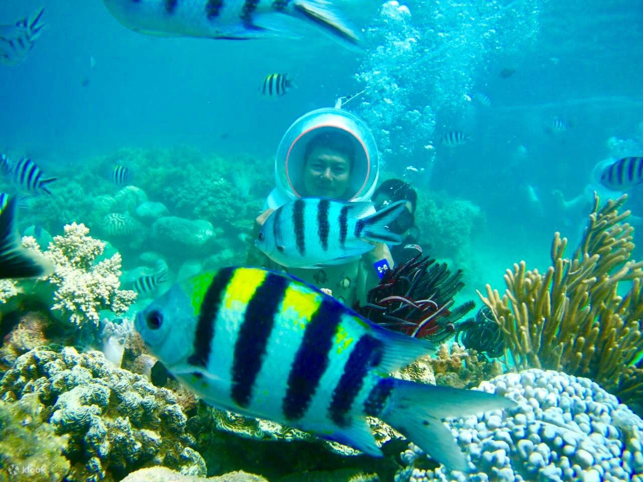 Sea Walking at Tranh Beach in Nha Trang Join In One Day Tour - Klook