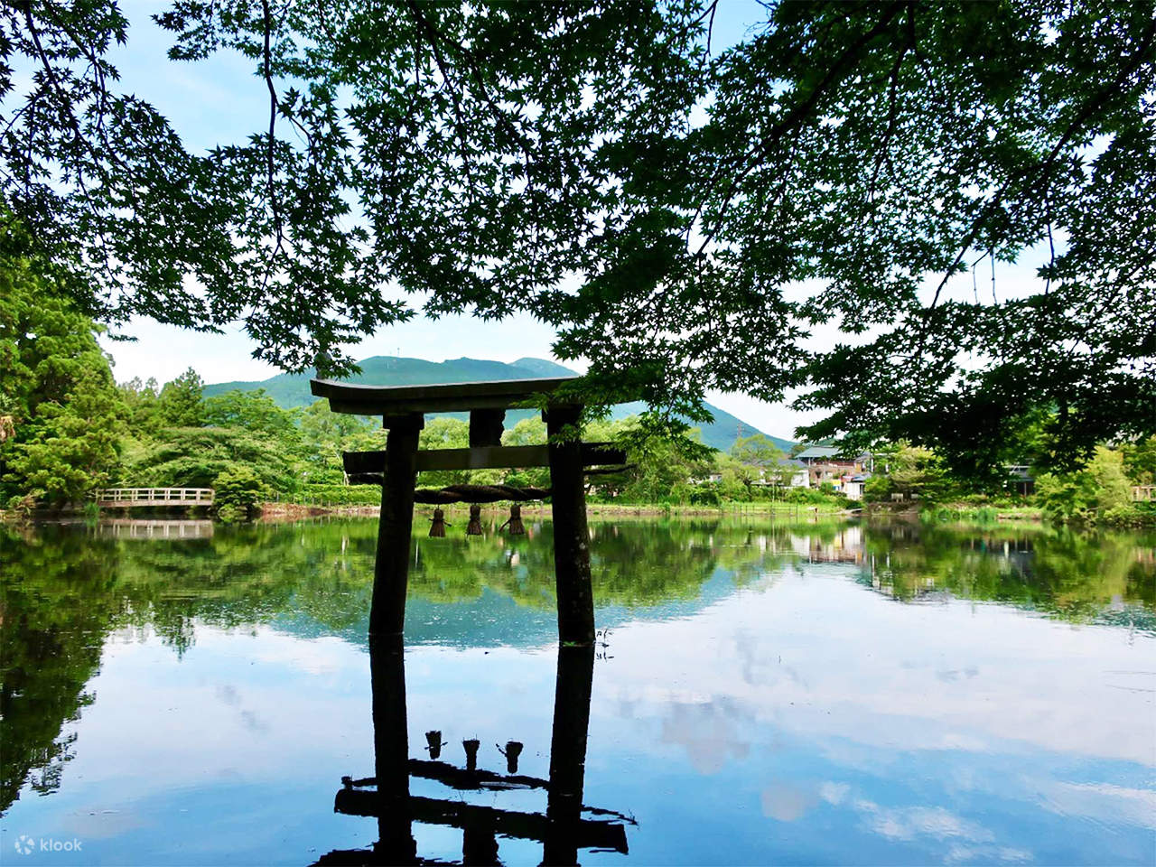 Kyushu Oita In-depth One-Day Tour｜Pray at Dazaifu Tenmangu Shrine ...
