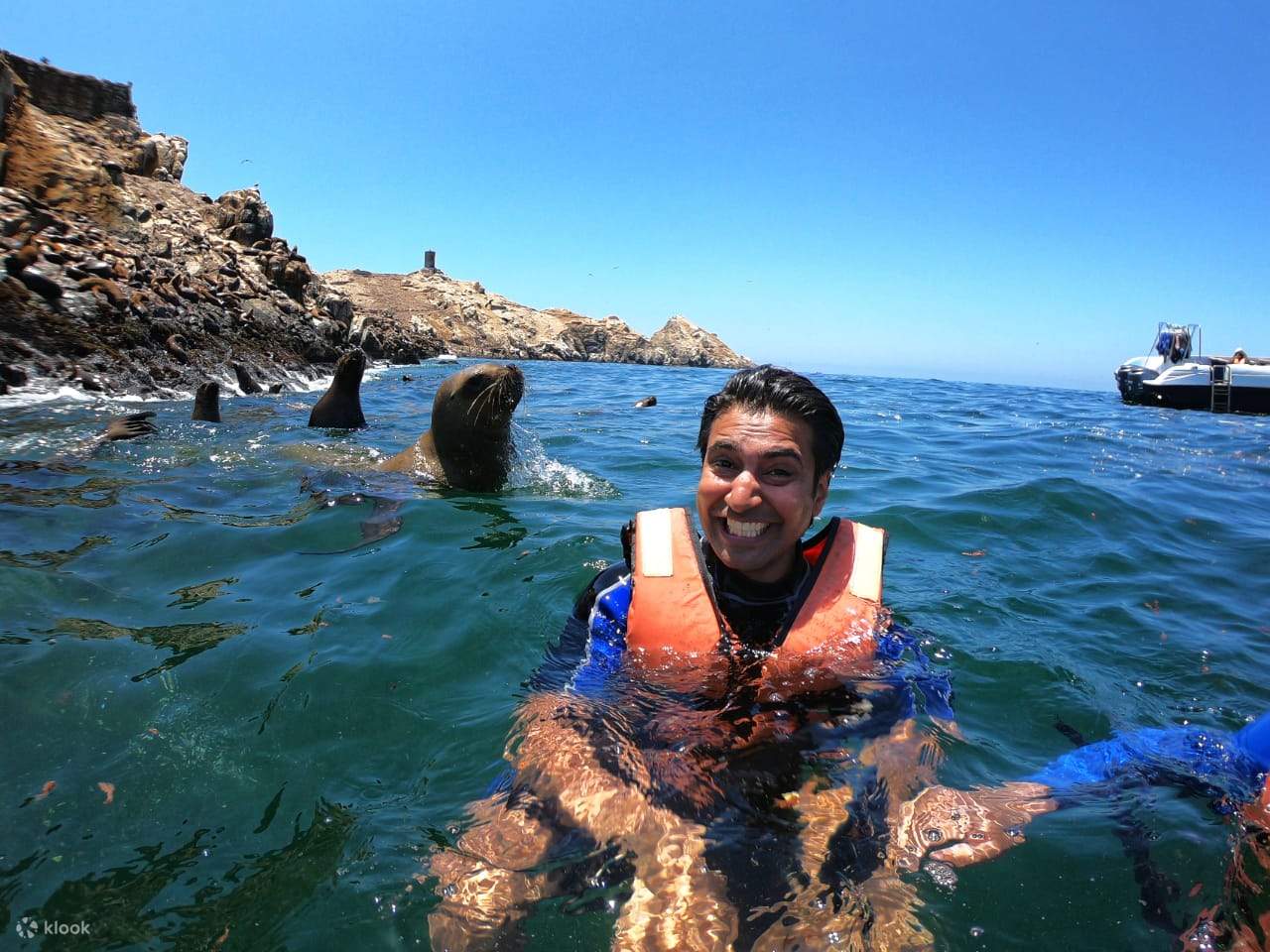 Experience Palomino Islands Swimming with Sea Lions from Lima - Klook ...