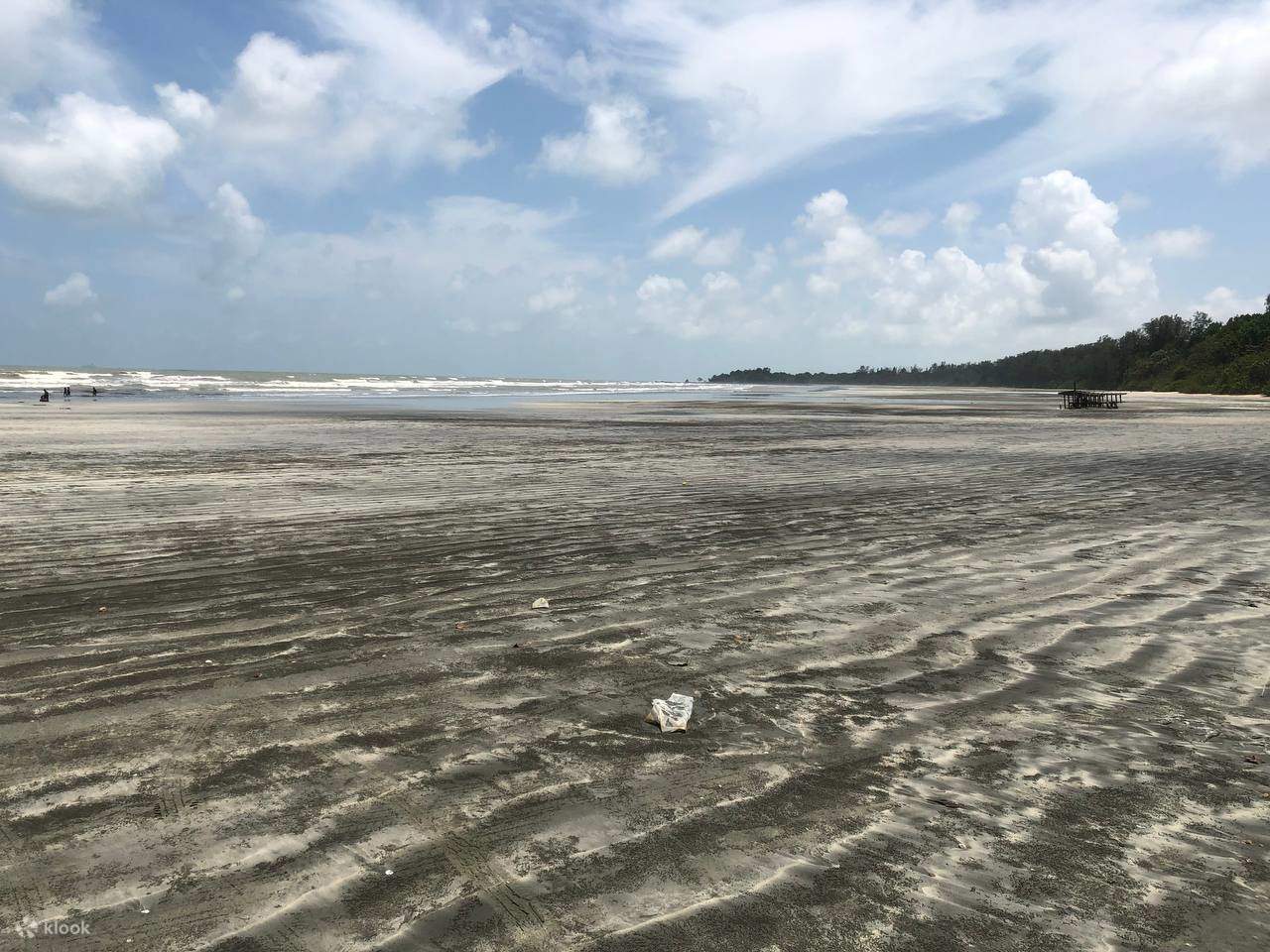 90 Minutes Beach and Tide Pool Walk in Desaru Walking Tour - Klook ...