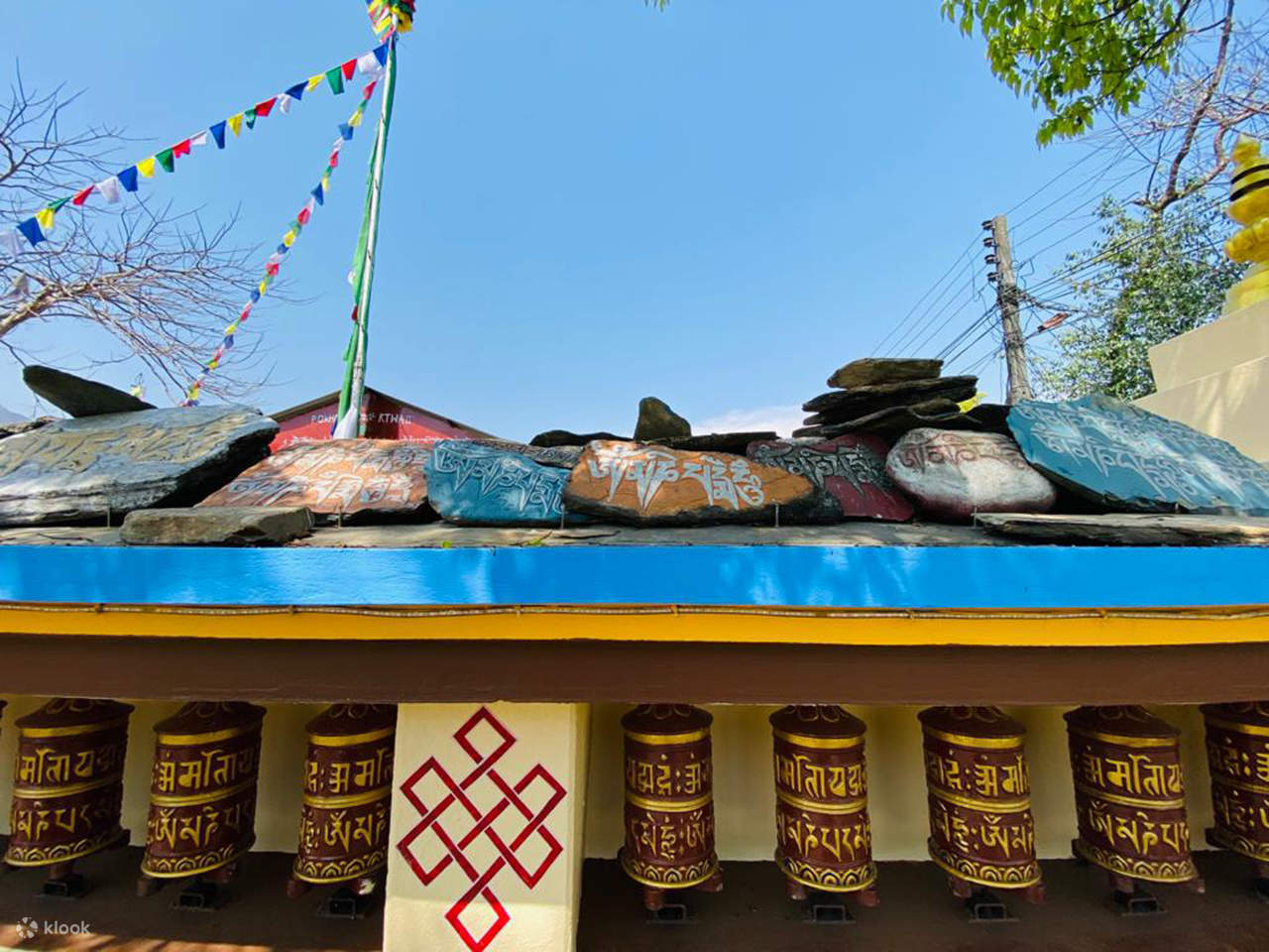 Morning Tibetan Cultural Tour - Klook India