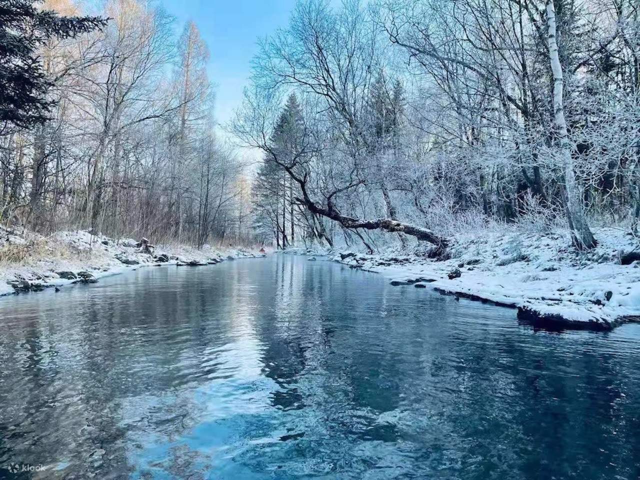 Snow Forest Wonderland Rime Drifting A Collision of Ice and Snow ...
