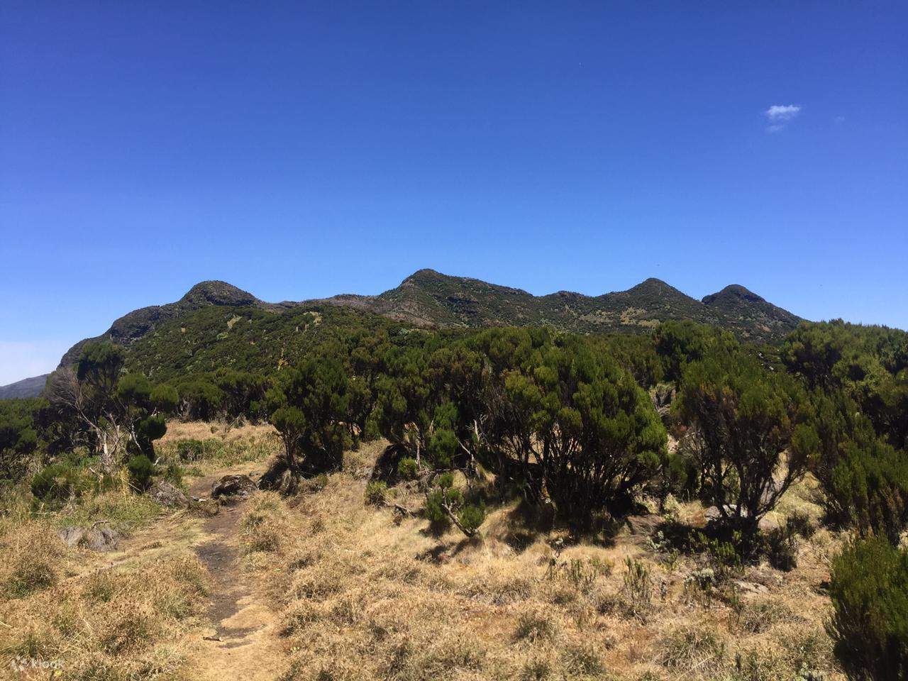 Experience the Ultimate Elephant Hills Hike Tour – A Nature Adventure ...