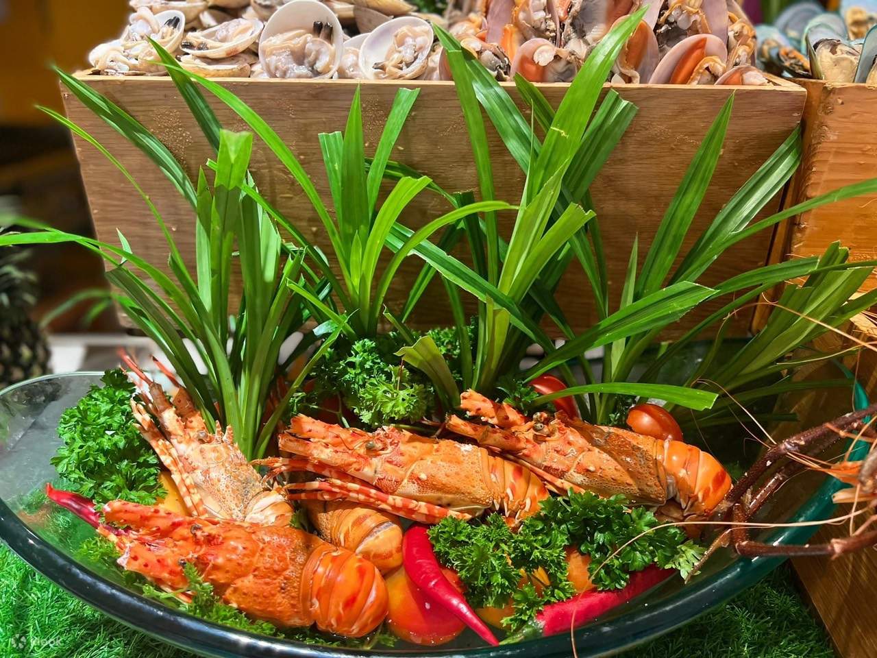 Seafood Buffet Dinner in Novotel Nha Trang - Klook Amerika Syarikat