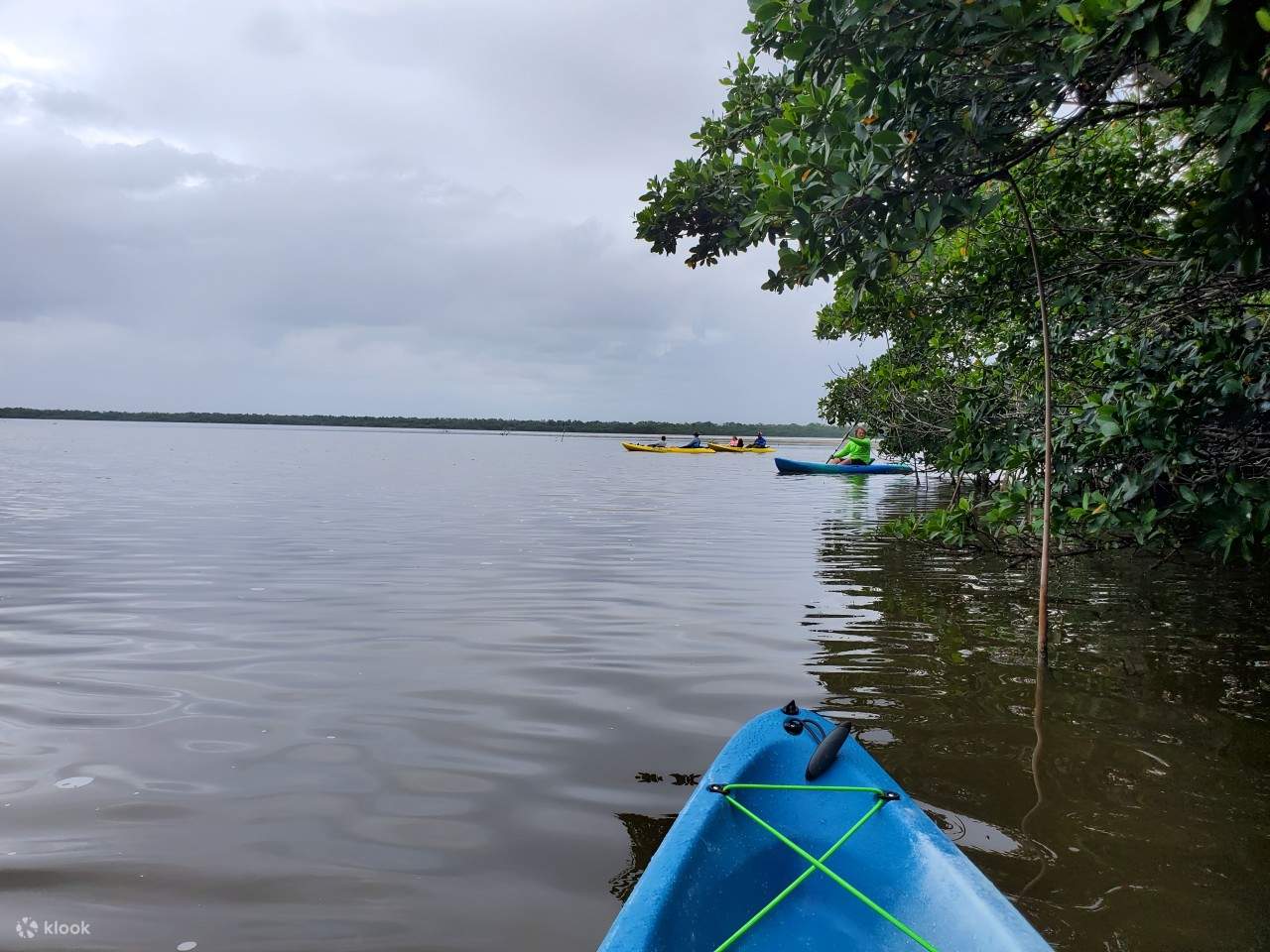 Everglades National Park Kayaking and Nature Walk with a Naturalist - Klook